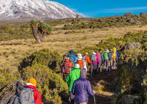 7 Days Kilimanjaro climb – Rongai circuit - Packup Safaris